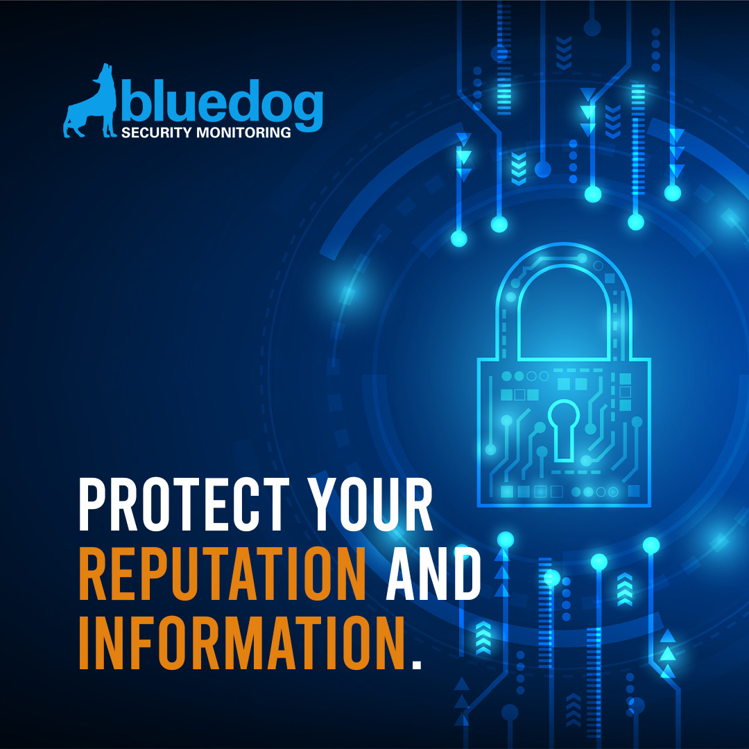 Bluedog - ACA Pacific